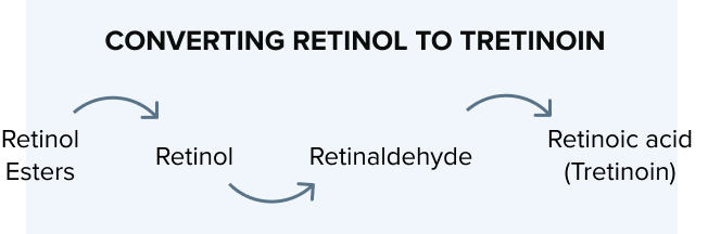 Everything you need to know about Retinoids – 1611 LABS
